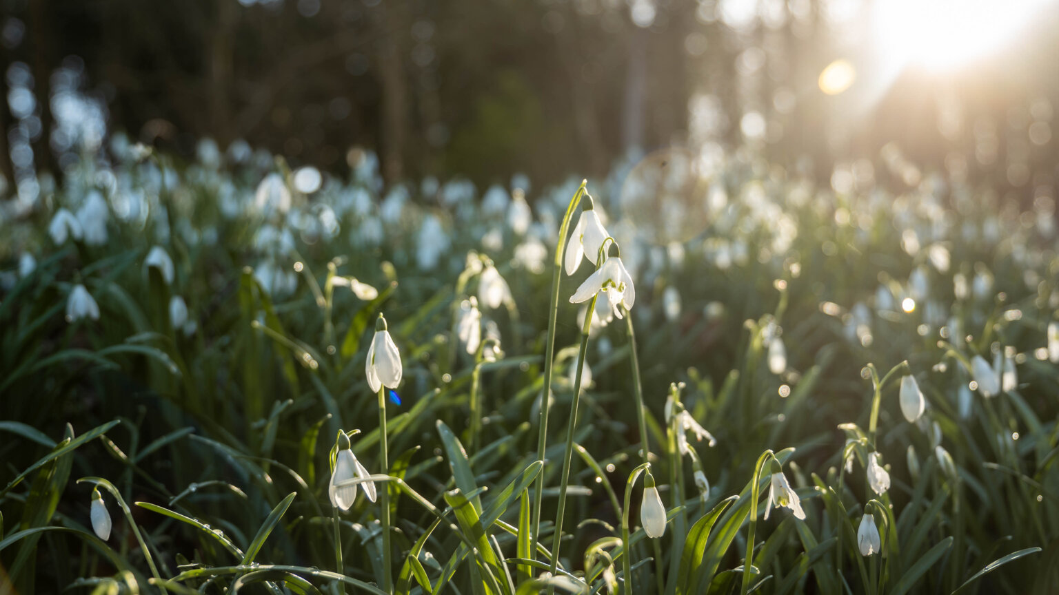 The Old Bridge Inn & Coffee House - Holmfirth, West Yorkshire Premier ...